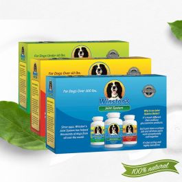 Winstons Joint System | Dermagic Europe